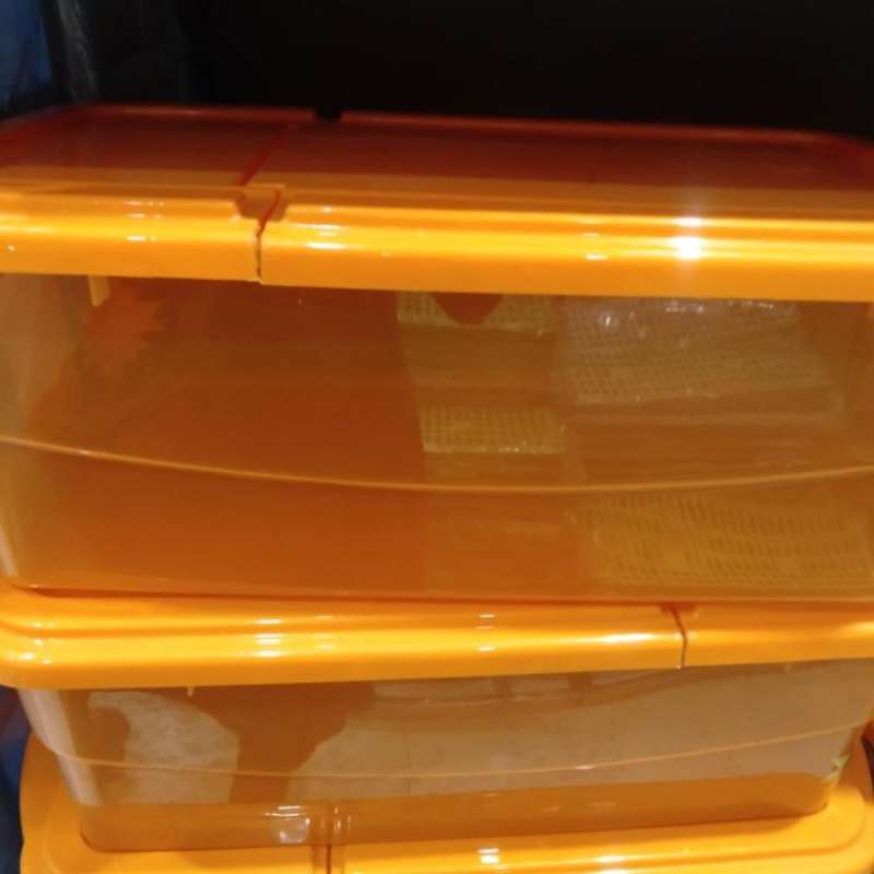 Jual Flipper Box Clarissa 5.4 Ltr Di Seller Toko 168 - Mama Muel - Kota ...