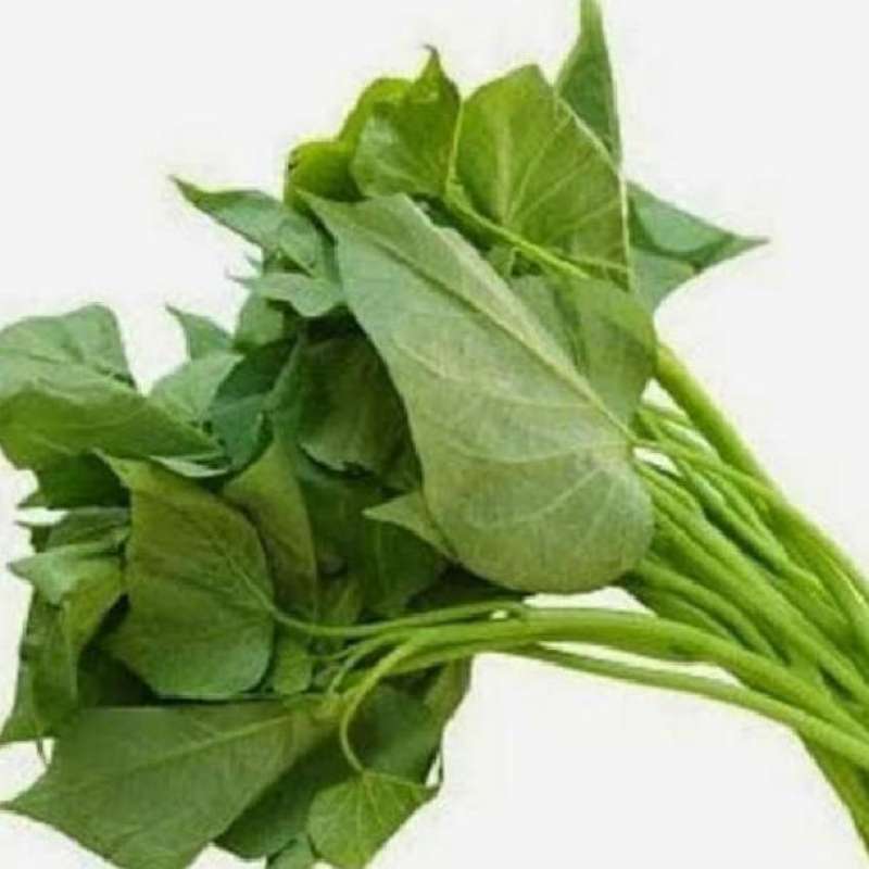 Jual DAUN UBI SEGAR 1 IKAT Halal di Seller TOKO 168 - Dewi Christina ...