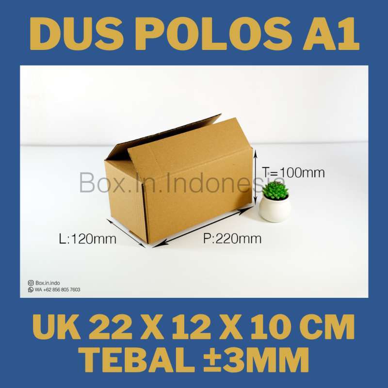 Jual (20 Pcs) Kardus Baru 22x12x10 Cm Box Dus Coklat Packing Polos Di ...