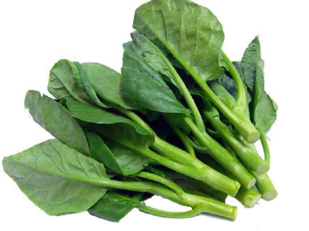 Promo Sayur Baby Kailan Curled Seeds 500gr Diskon 28% Di Seller ...