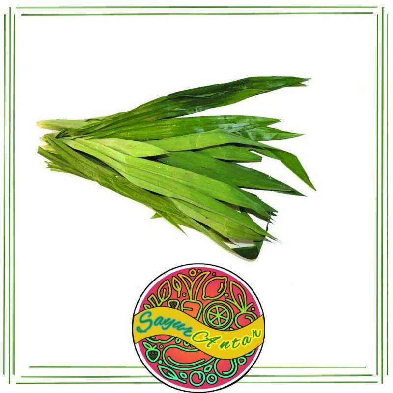 Jual daun pandan/1 ikat ( 100 grm ) di Seller sayurantar - Kembangan ...