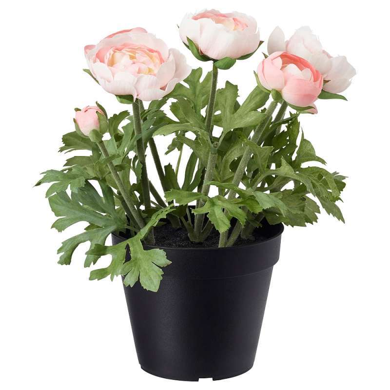 Jual Ikea Fejka Bunga Ranunculus Tanaman Pot Tiruan Dalam/Luar Ruang ...