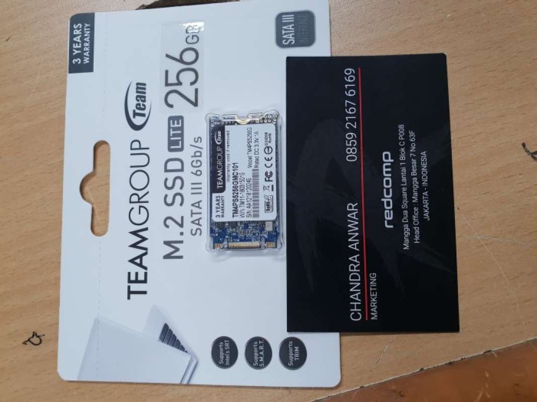 Jual TEAM SSD MSATA M.2 2242 Sata 256GB (TM4PS4256GMC101) TEAM SSD ...