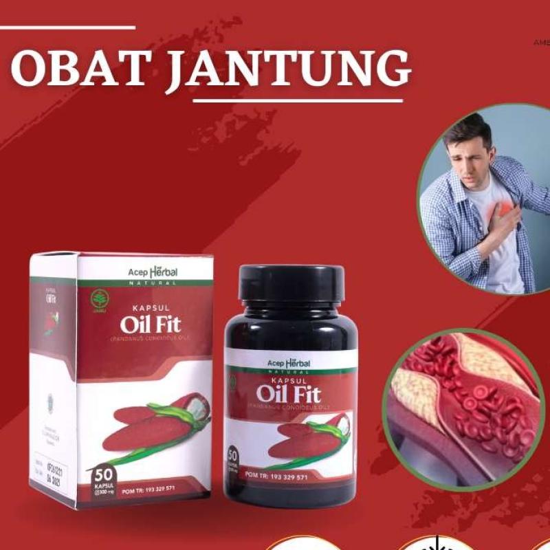 Oil Fit Lengkap Harga Terbaru Februari 2024 | Blibli
