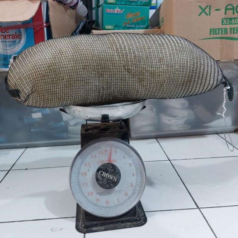 Jual JARING NELAYAN FILTER AQUARIUM FILTER KOLAM berat 500gram di ...