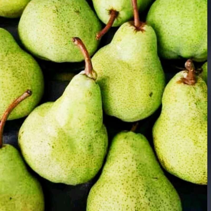Promo Buah Pir Packam/ Pear Packham - Ibaza Buah Segar 1kg Diskon 8% Di ...