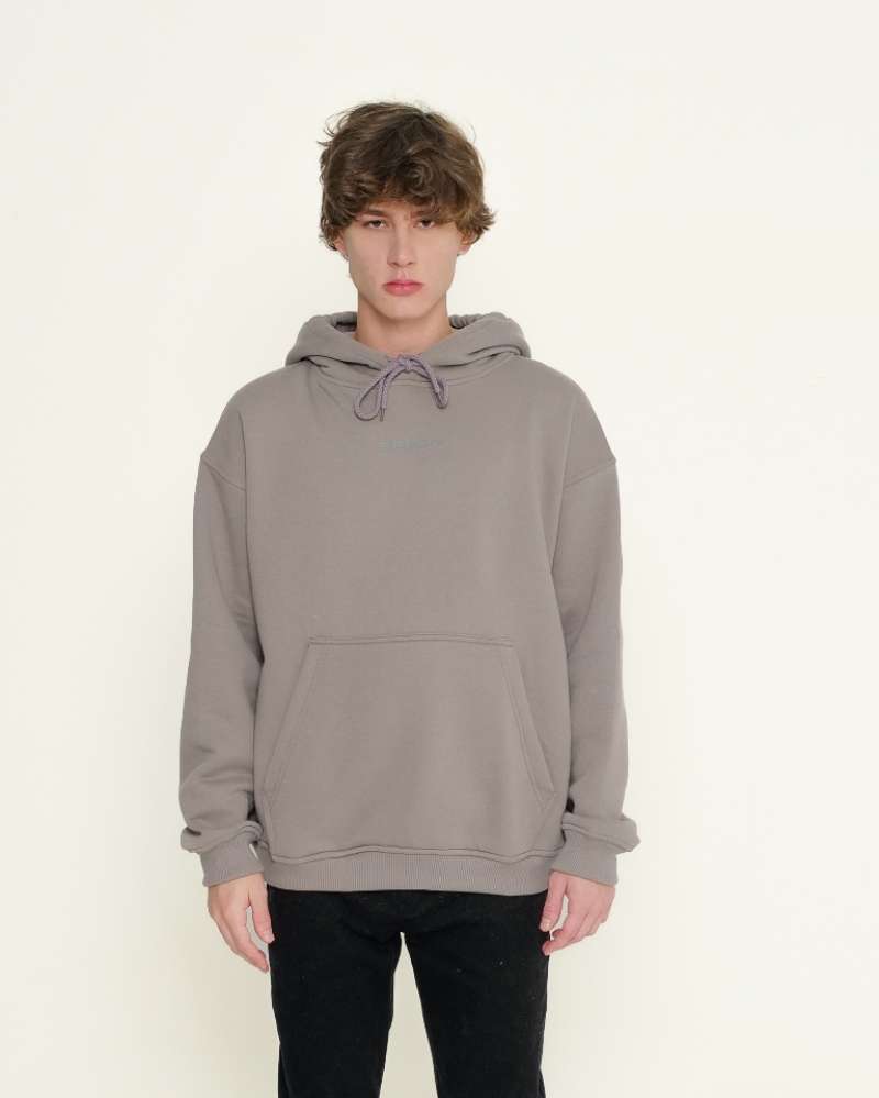 Jual Erigo Hoodie Basic Logo Hd Light Color Di Seller Erigo Official ...