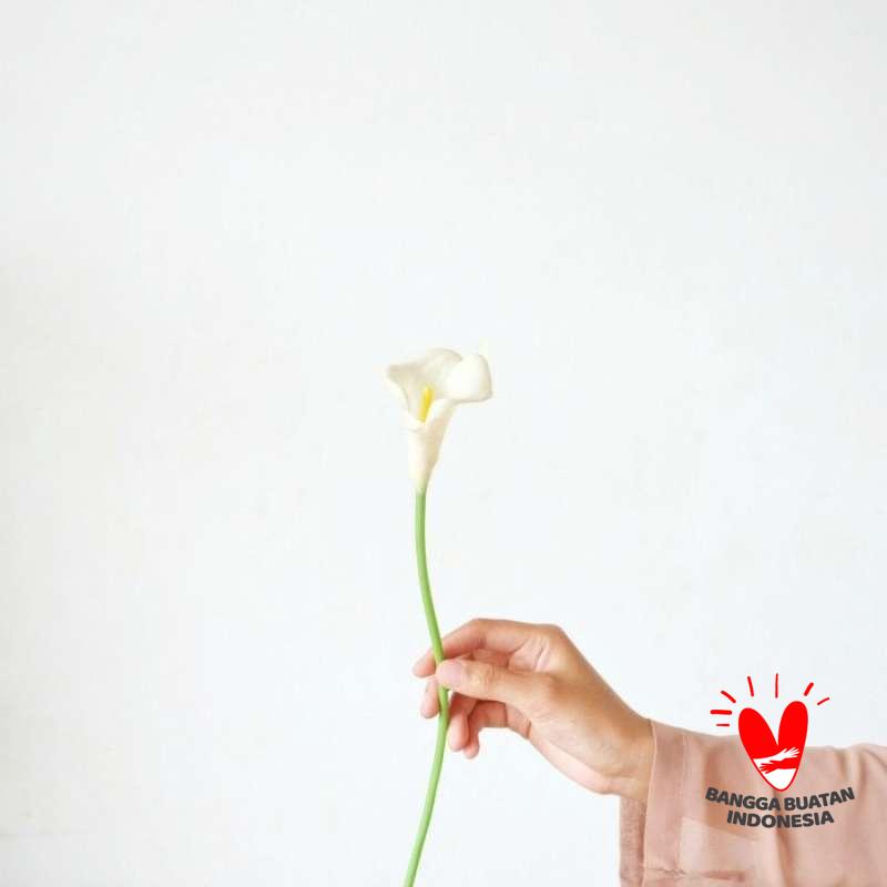 20+ Gambar Bunga Tulip Layu yang Mantul! - Informasi Seputar Tanaman Hias