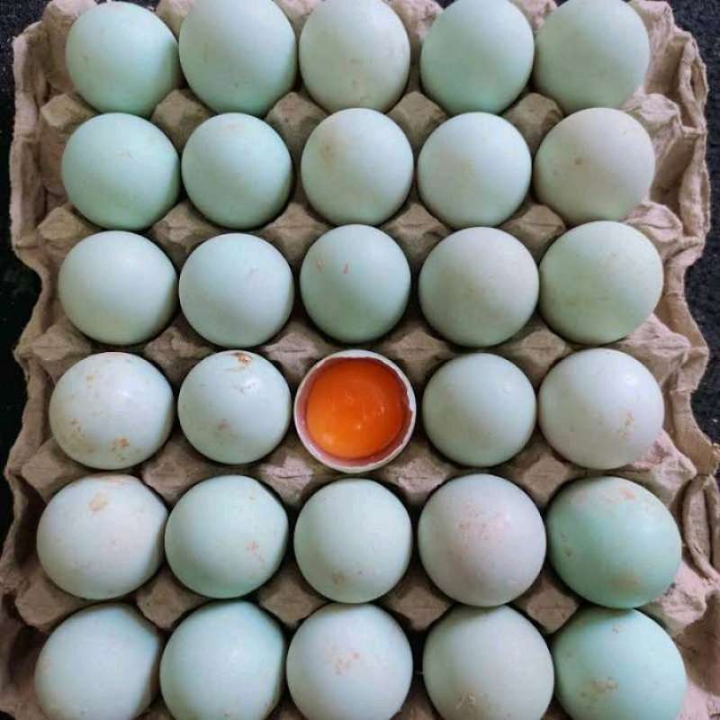 Jual Telur Bebek Omega3 Fresh per Butir di Seller WARNA BARU FRESH ...