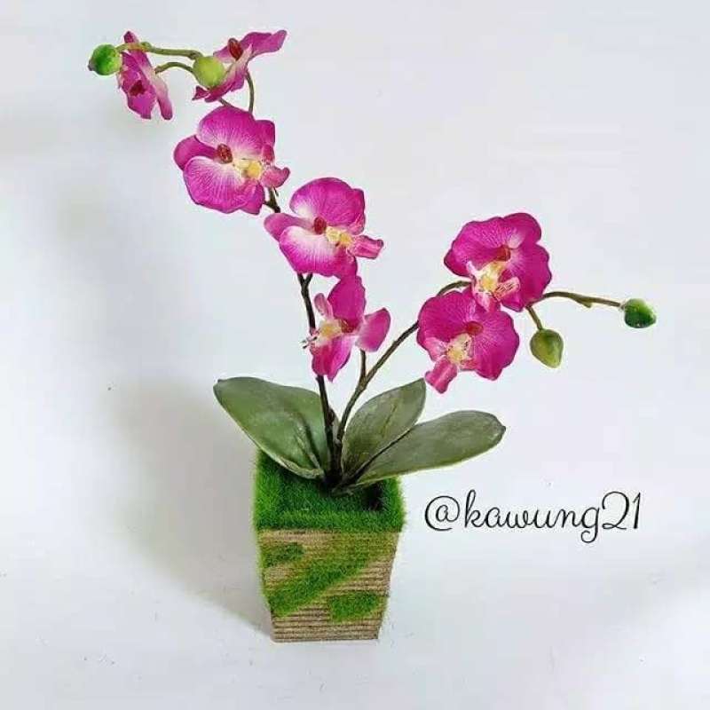 Promo Rangkaian Bunga Anggrek Bulan Artificial Cantik Pajangan Rumah Diskon 19 Di Seller