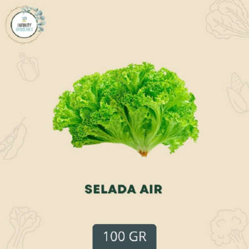 Jual Selada Air Murah - Harga Grosir Mei 2024 | Blibli