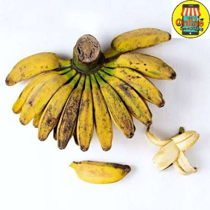 Jual Buah Pisang Kepok / Pisang Kapok / Gedang Kepok Fresh Segar ...