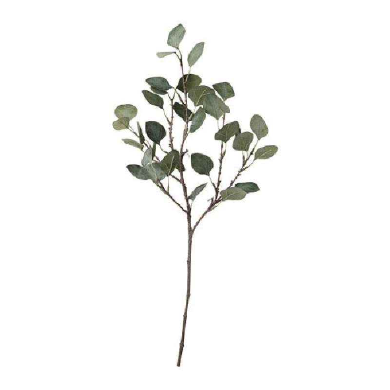 Jual Ikea Daun Eucalyptus Bunga Artificial - Hijau di Seller IKEA LIFE ...