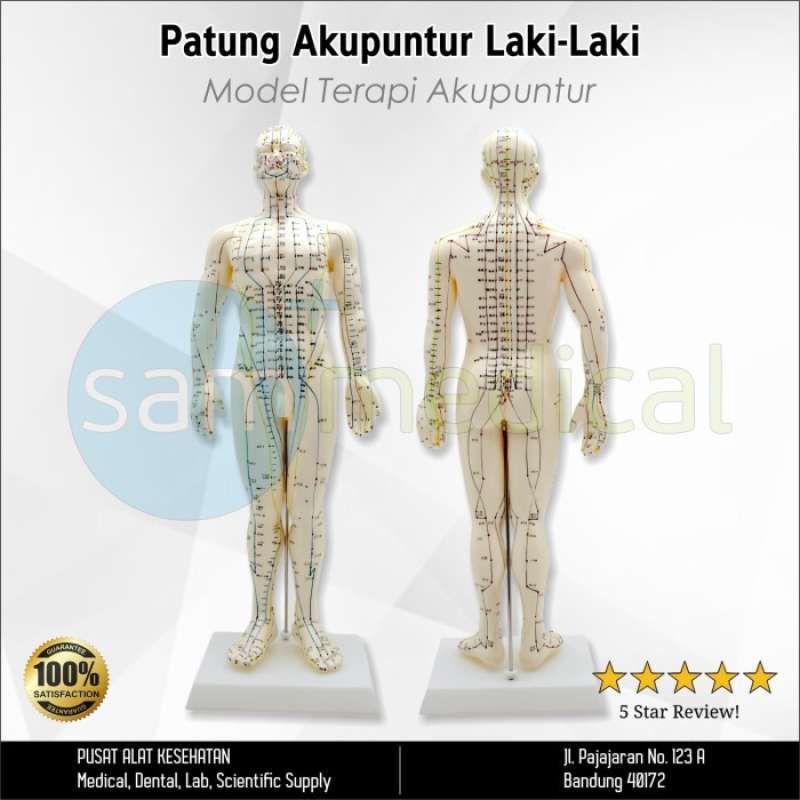 Patung Akupunktur Lengkap Harga Terbaru Mei 2024 | Blibli