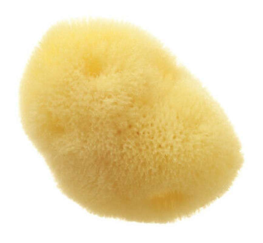 Jual Spons Mandi - Bath Sponges - Bellini Natural Sea Sponges Silk Fine ...
