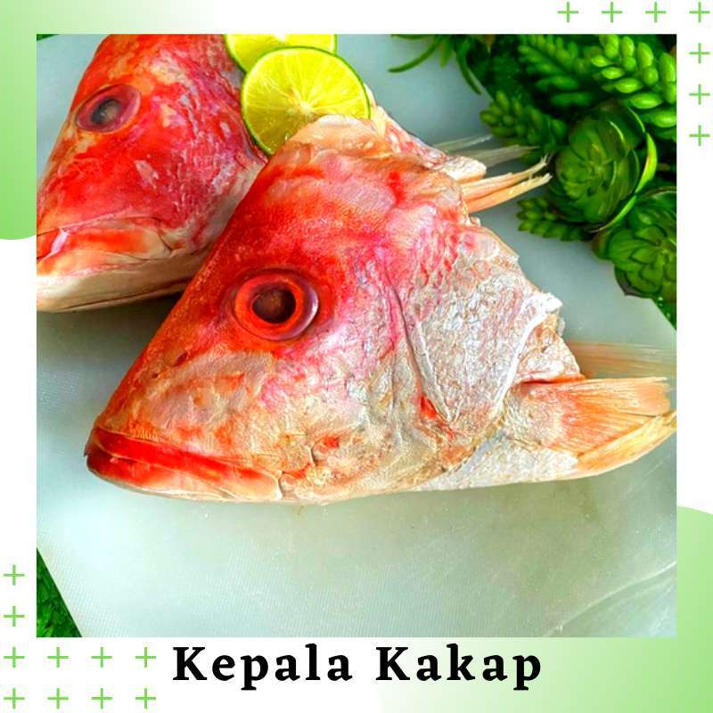harga ikan merah sekilo 2019 - HumbertotaroTownsend