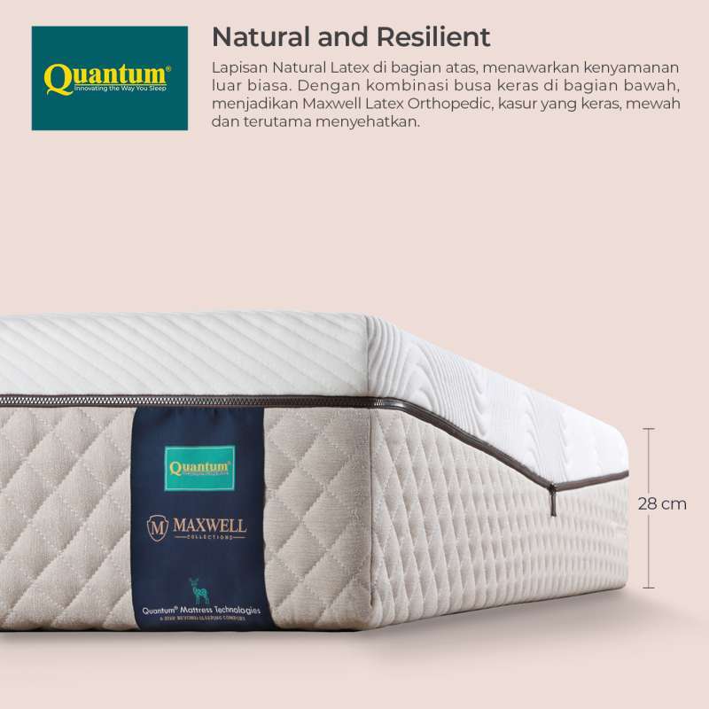 Promo Quantum Maxwell Latex Orthopedic Eleanor Full Set - Kasur ...