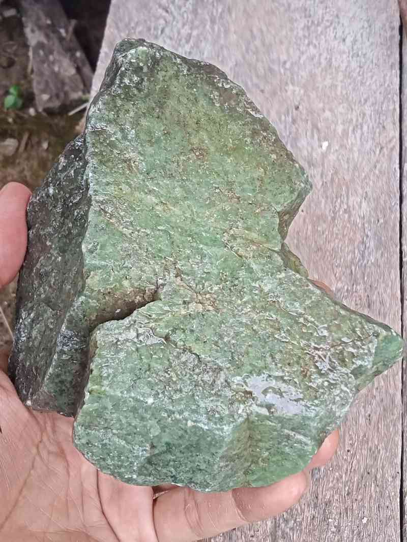 Jual Batu Lumut Sungai Dareh Model Terbaru Asli - Harga Terbaru Update ...