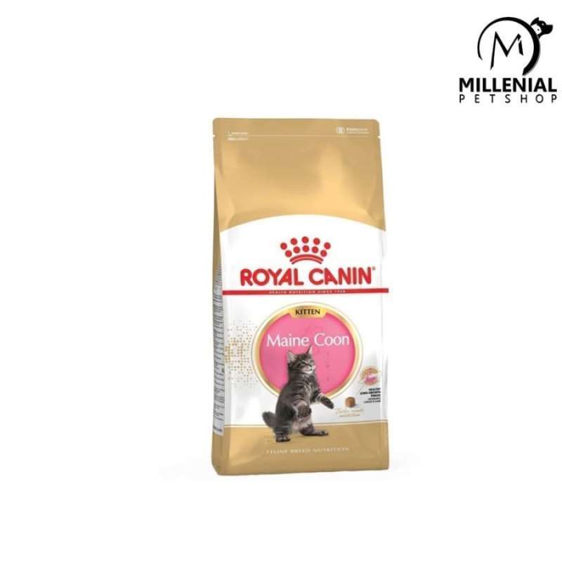 Jual Kucing Mainecoon Royal Terdekat 🏷️ Harga Grosir Murah Terupdate ...