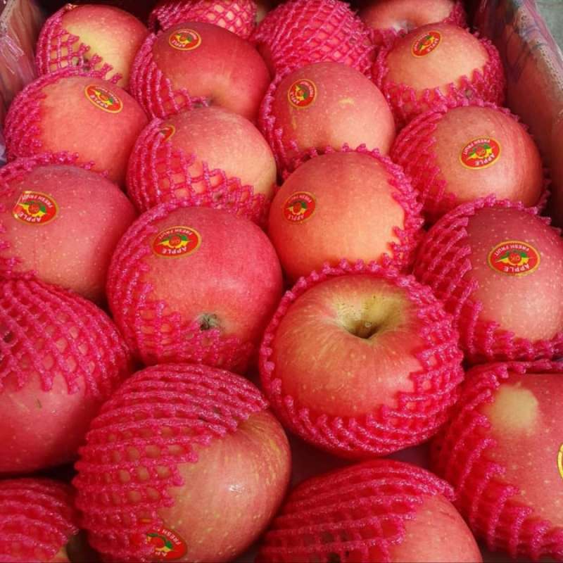 Jual Apel Fuji Apple Fresh Import Per Dus Di Seller Chandra Buah ...