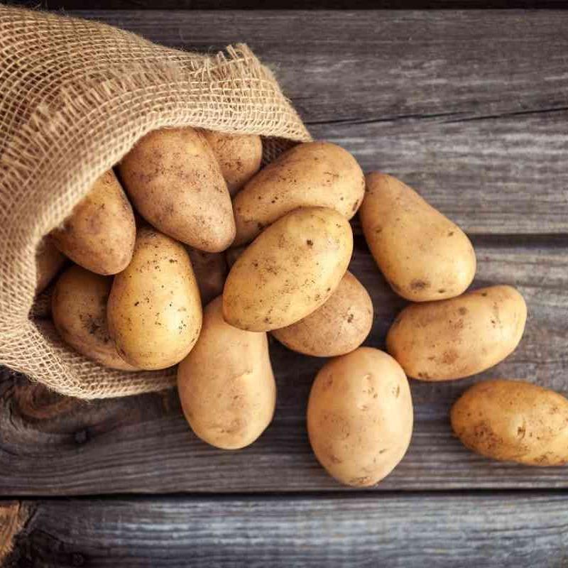 Jual Kentang Jumbo 500 Gram Halal di Seller Sahabat Horeca Jakbar ...