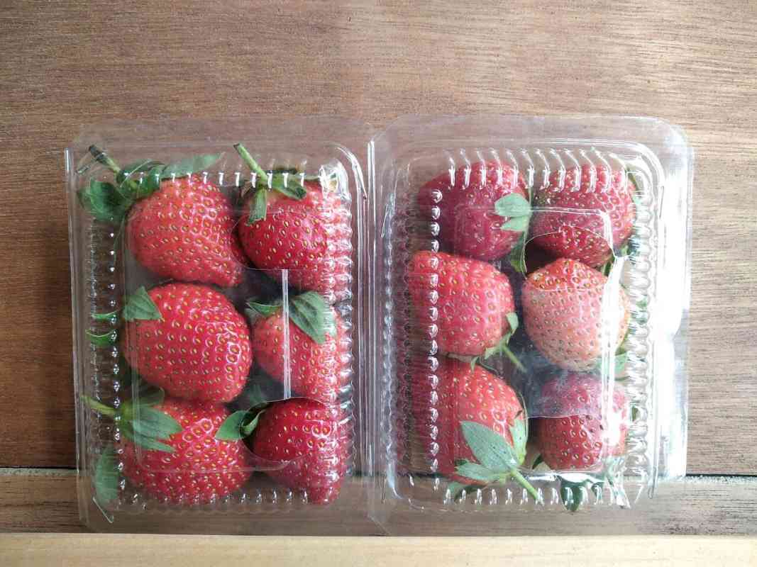 Jual Strawberry Mini Pck Jumbo,strawberi Segar,stoberi Kemasan 70 Gram ...