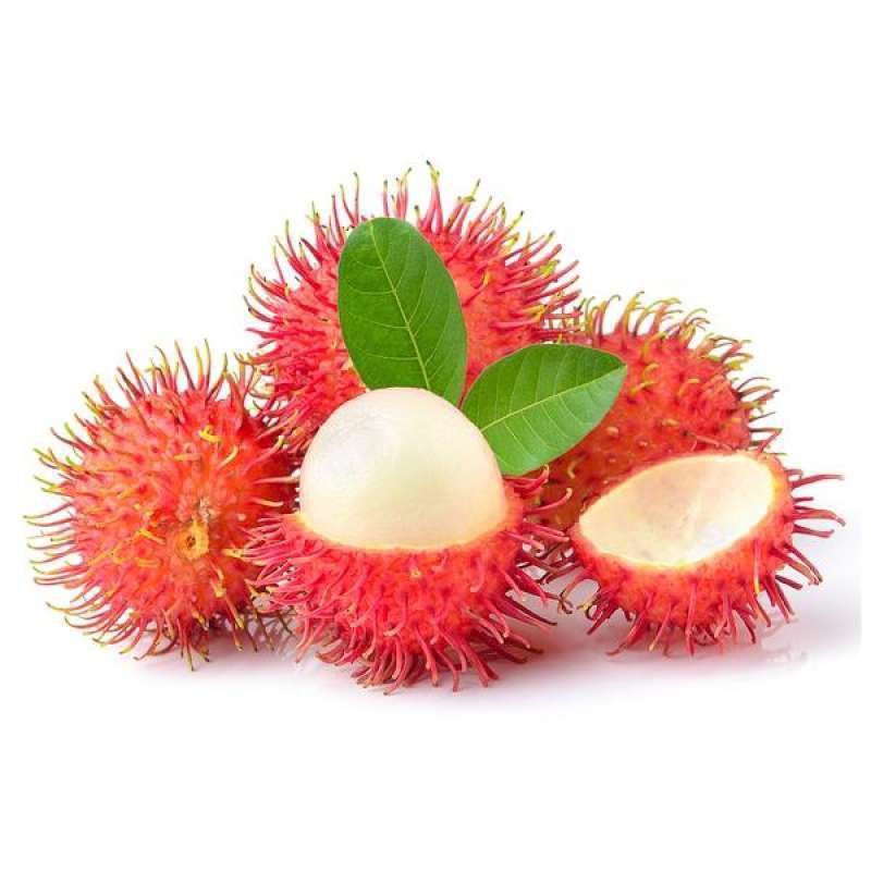 Jual RAMBUTAN di Seller LISFOOD - Rajeg, Kab. Tangerang | Blibli