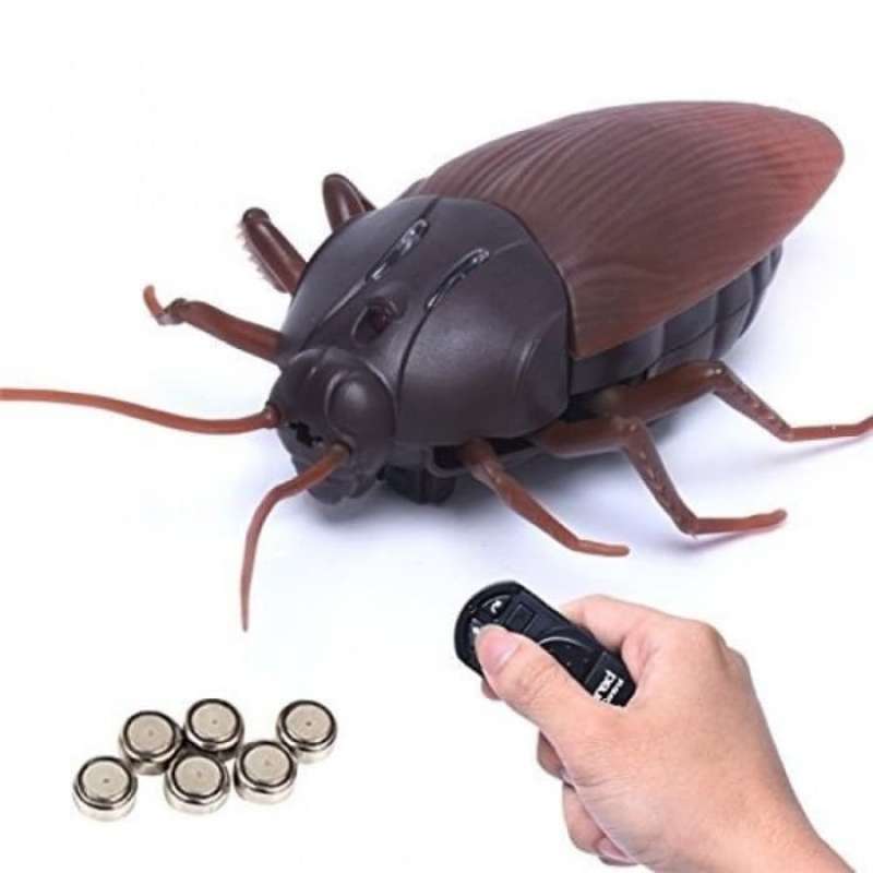 Jual Giant Cockroach Remote Control - mainan kecoa di Seller Petshopid ...