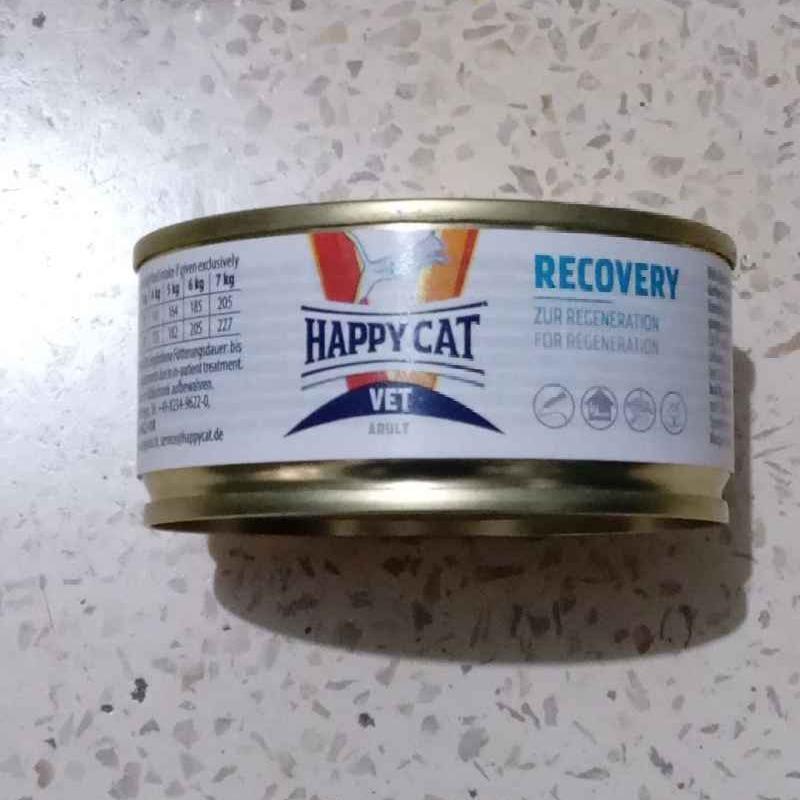 Promo Happy Cat Vet Recovery 100gram Makanan Basah Khusus Kucing Sakit ...