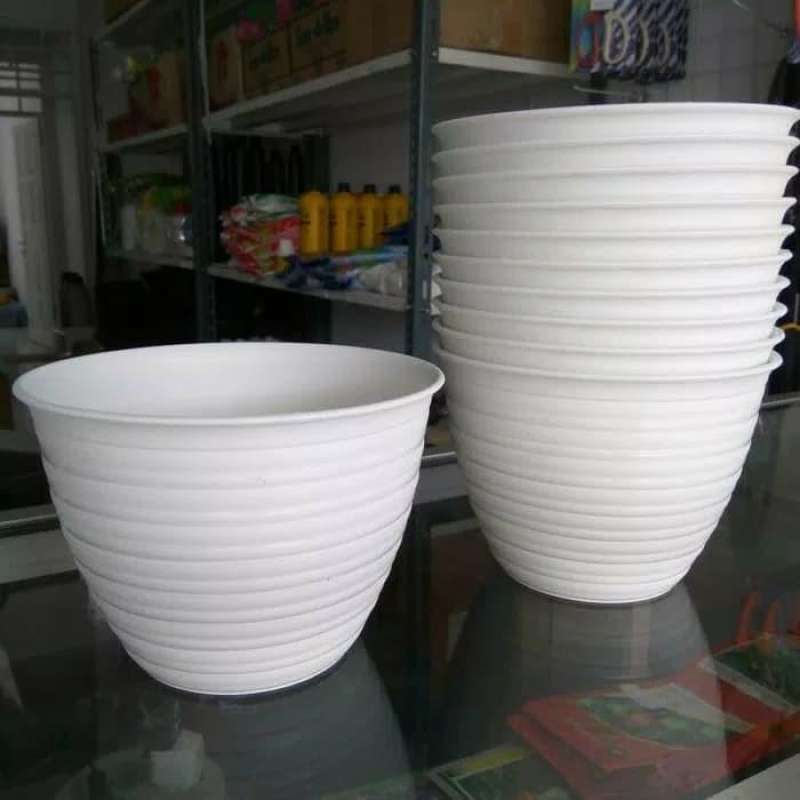 Jual Pot Tanaman Tawon Putih diameter 15cm di Seller Halaman taman ...