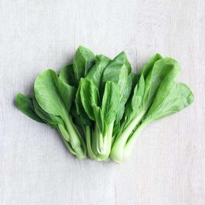 Jual Harga Pakcoy 1 Kg Terbaru - Harga Promo Februari 2024 | Blibli