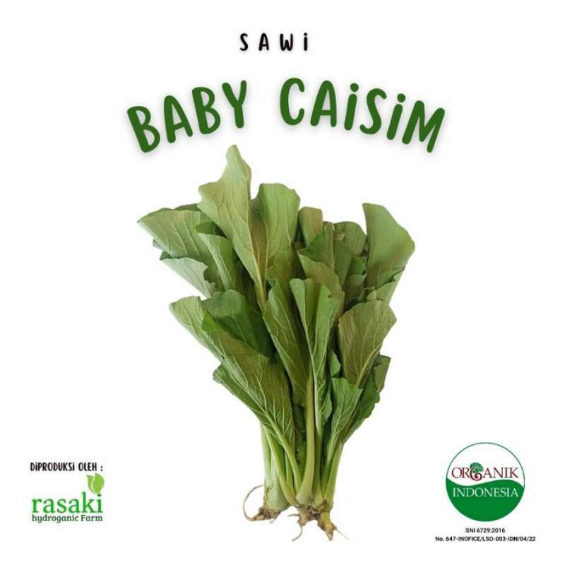 Jual sayur segar sawi baby caisim organik rasaki 200gr Halal di Seller ...