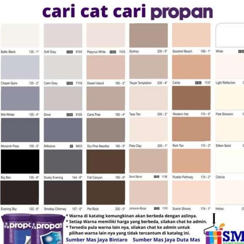 Jual Cat Tembok Eksterior Premium Propan Decorshield Warna Tinting 20l ...