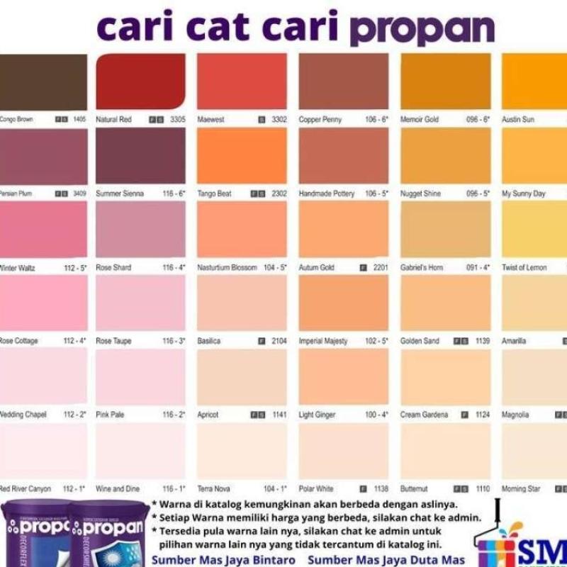 Jual Cat Tembok Eksterior Premium Propan Decorshield Warna Tinting 20l ...