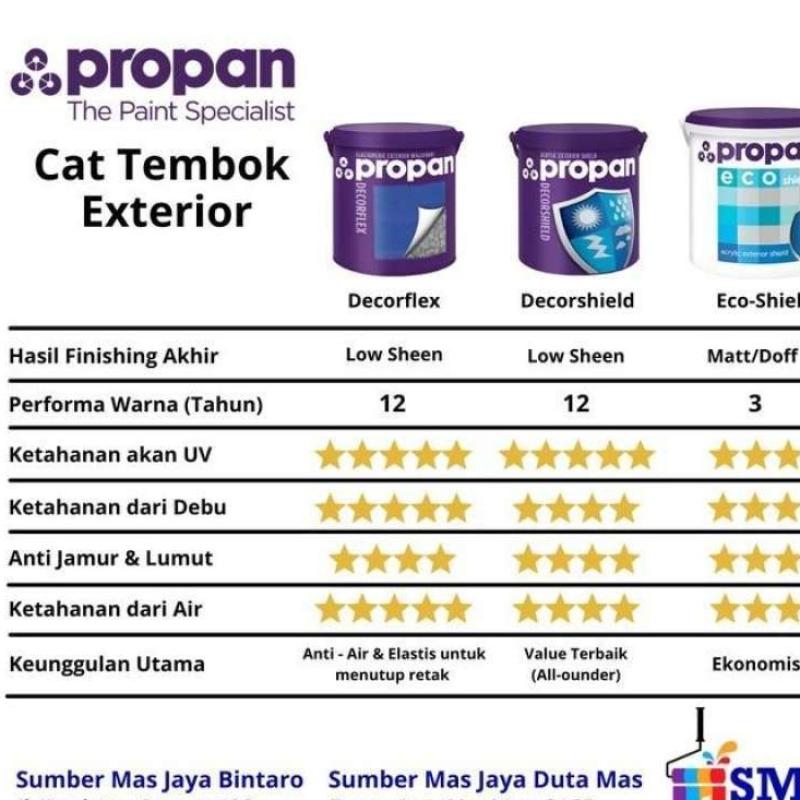 Jual Cat Tembok Eksterior Premium Propan Decorshield Warna Tinting 20l ...