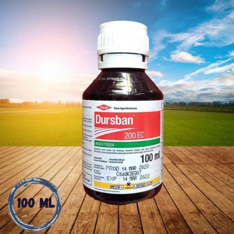 Jual Dursban 200 EC 100 mL Insektisida Pembasmi Serangga Tanaman di ...