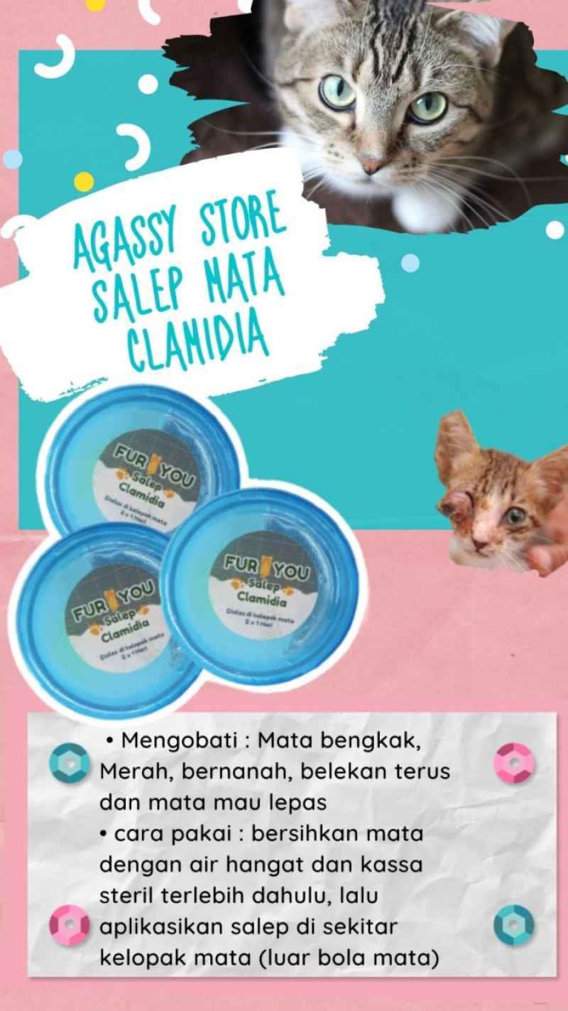 Jual Furyou Salep Mata Clamidia Salep Mata Clamydia Kucing Salep Mata ...