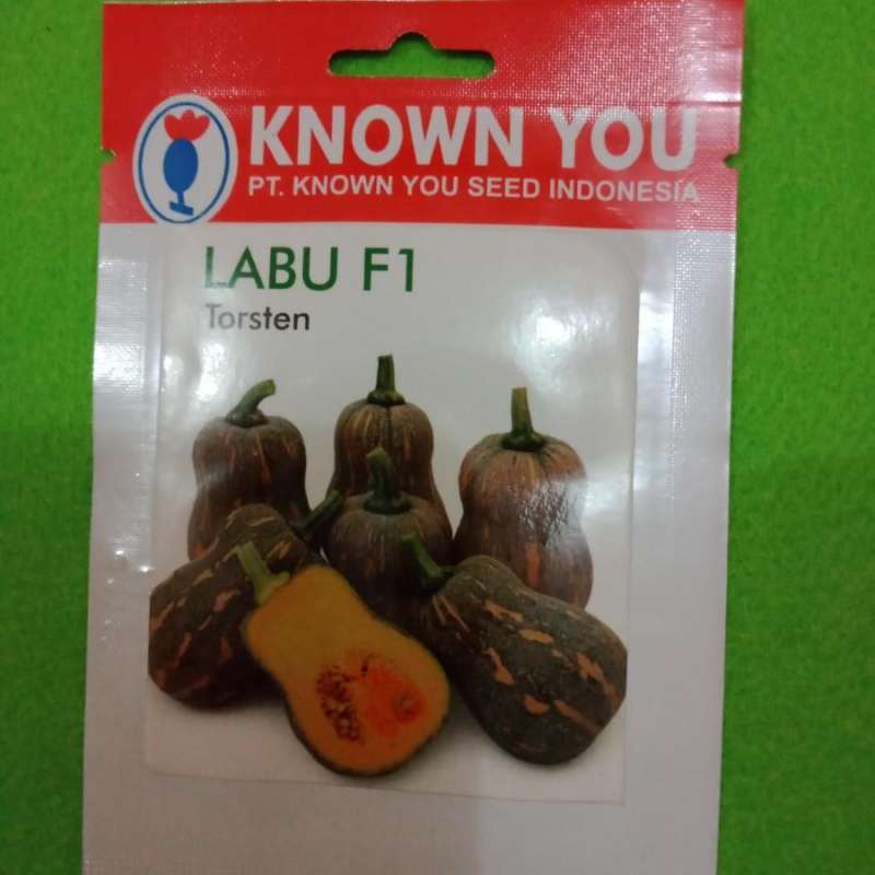 Jual Benih Labu Madu F1, TORSTEN, Known You, Original Small Pack di ...