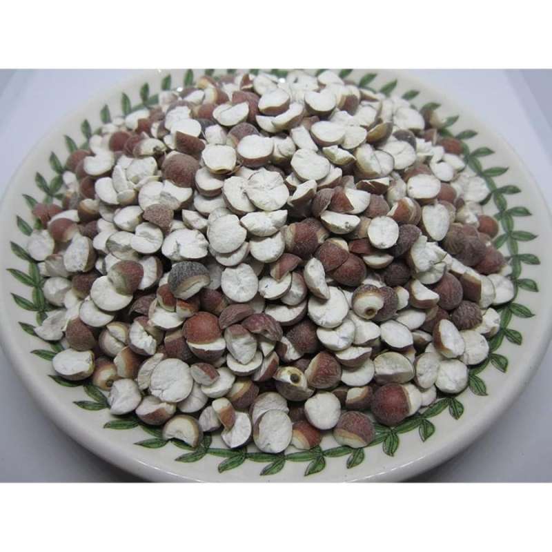 Jual Qian Shi Kiam Sip Fox Nut Euryale Seed 100 Gram Di Seller Toko ...