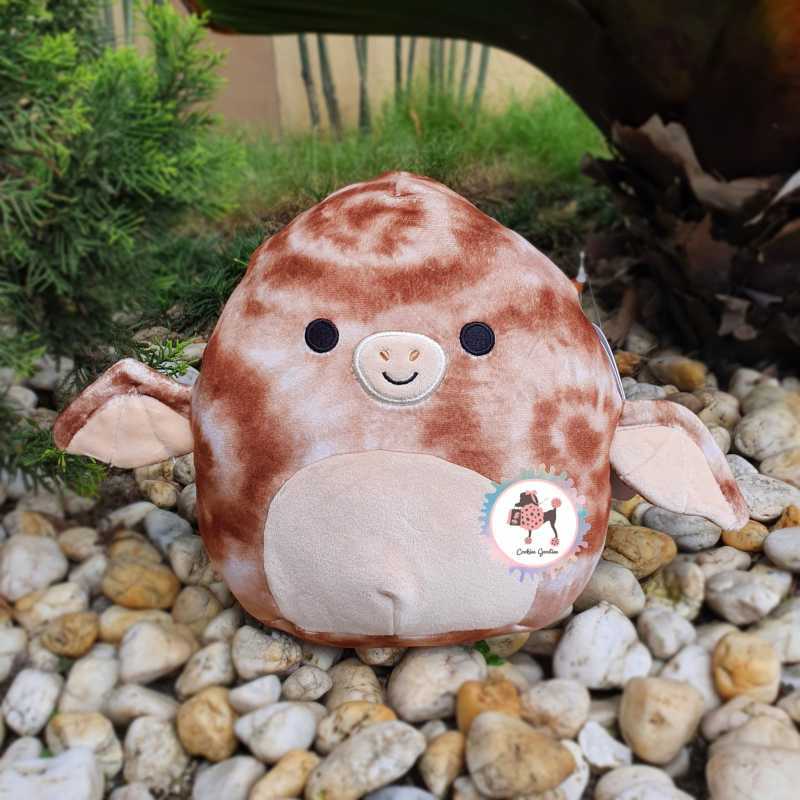 Jual Squishmallows Edmund the Pterodactyl Cat 20cm di Seller ...