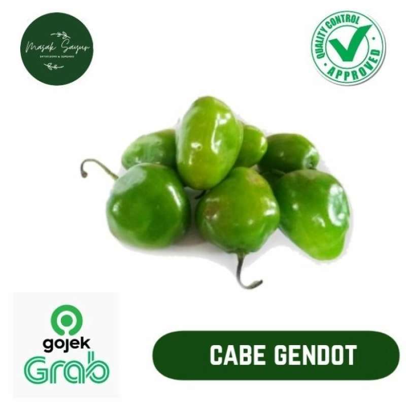 Ikan Gendot Gratis Ongkir 🔥 Harga Murah Februari 2026