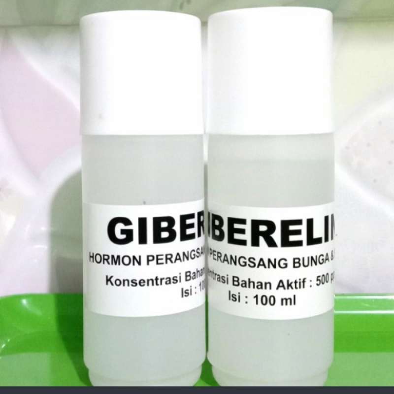Promo Hormon Tanaman Giberelin 100ml Diskon 30% Di Seller Arrayanshop ...