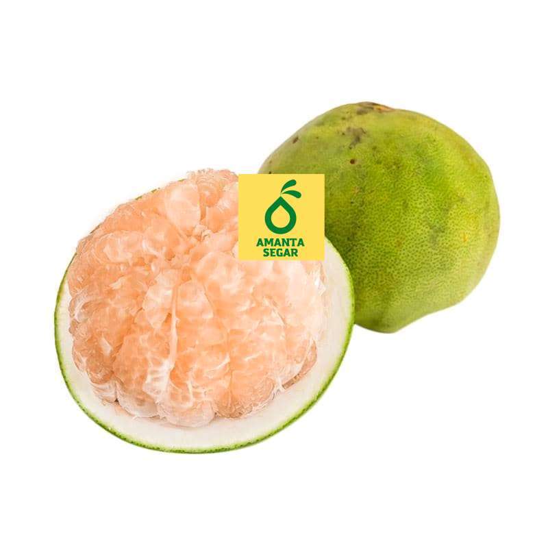 Jual Buah Jeruk Bali Pomelo Manis Segar Fresh 1 Buah 1 sd 2 Kg Halal di ...