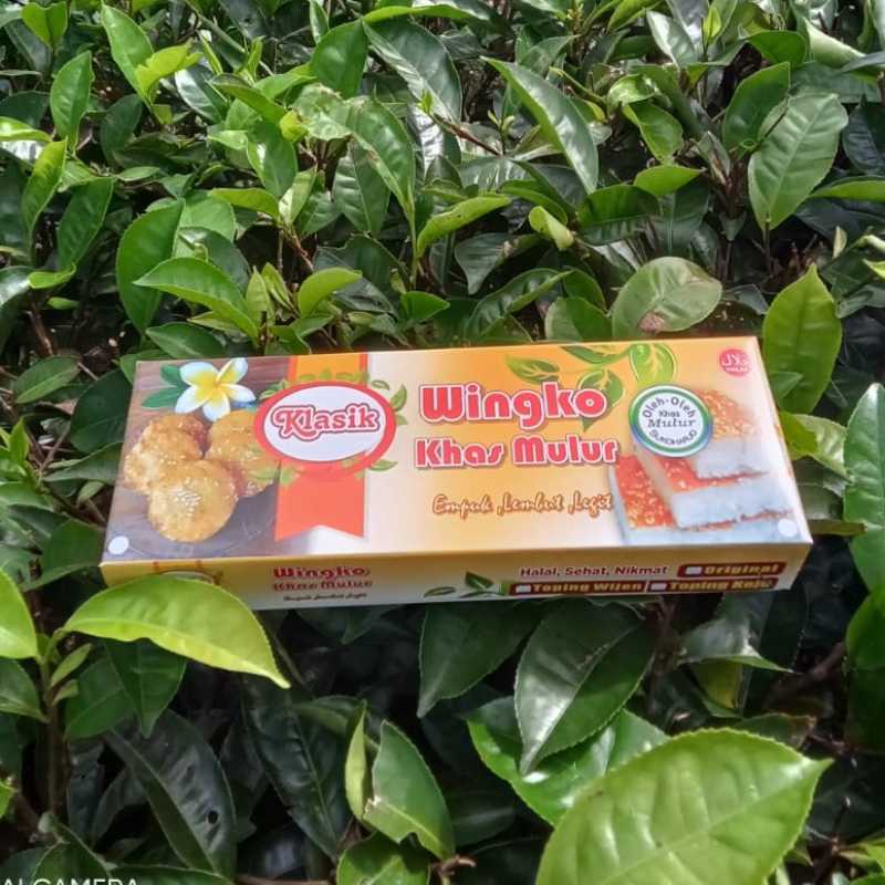 Promo Wingko Babat Klasik Khas Mulur Sukoharjo / Oleh-oleh Khas Solo ...