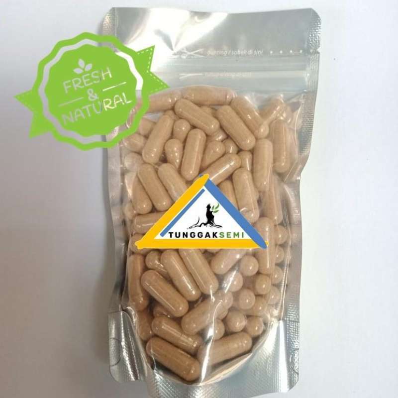 Jual TEMU HITAM IRENG 100 Kapsul Herbal Kesuburan Gonorrhoea Kurap ...