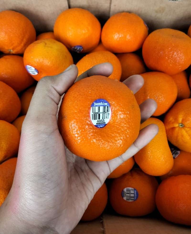 Jual HasilSumberalaM Jeruk Kupas Afourer Mini Oranges AUSTRALIA Sunkist ...