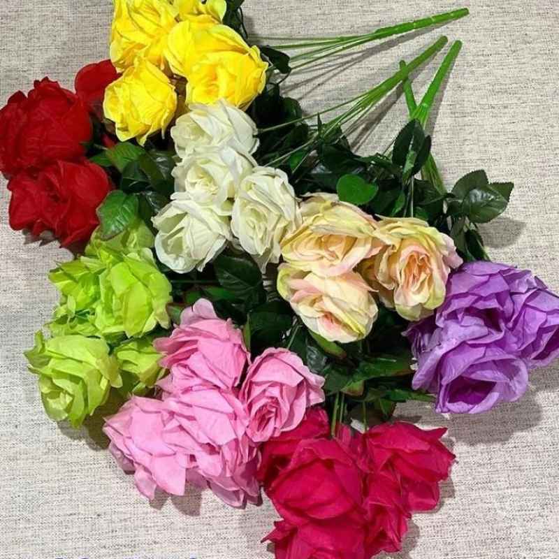 Jual Bunga Mawar Rose Jepang Putih Biru Hijau Merah Kuning Salem Orens ...