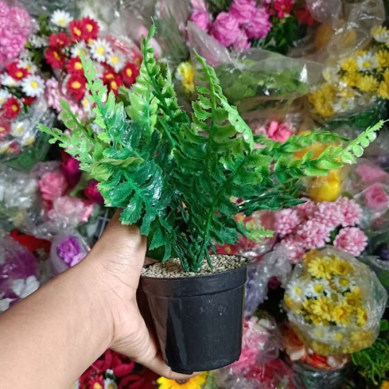 Promo BUNGA PLASTIK/RUMPUT PAKIS/RUMPUT PALSU PLASTIK/POT BUNGA ...