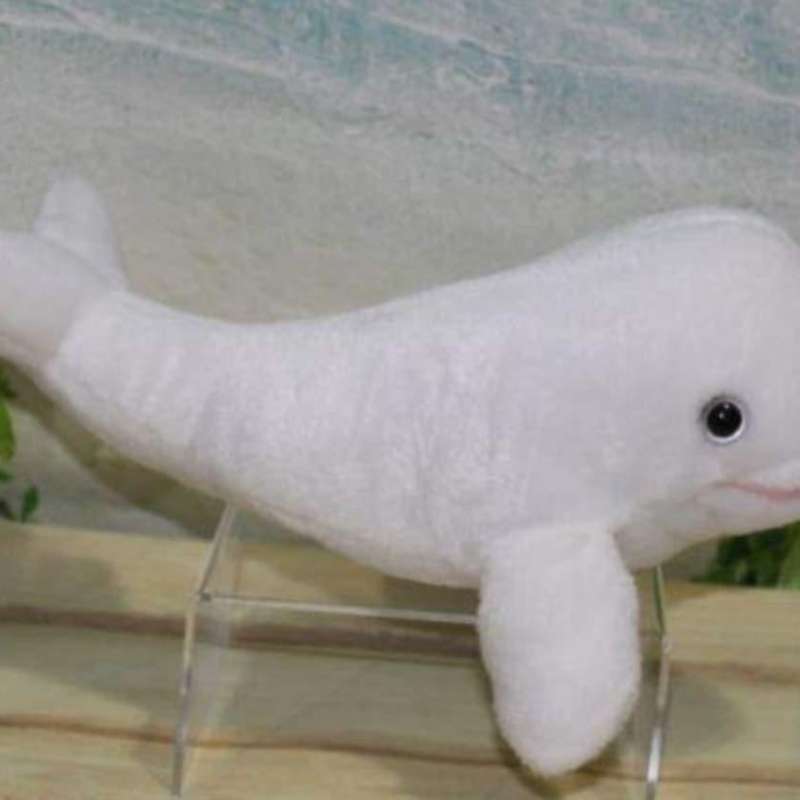 Jual Boneka Ikan Paus Beluga di Seller Happy Toy's - Kota Jakarta Pusat ...