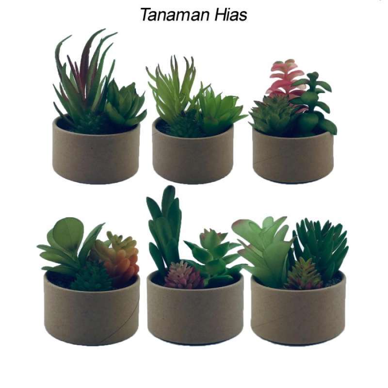 Jual Tanaman Hias/Tanaman Mini/Tanaman Plastik/3 tanaman 1 pot di ...